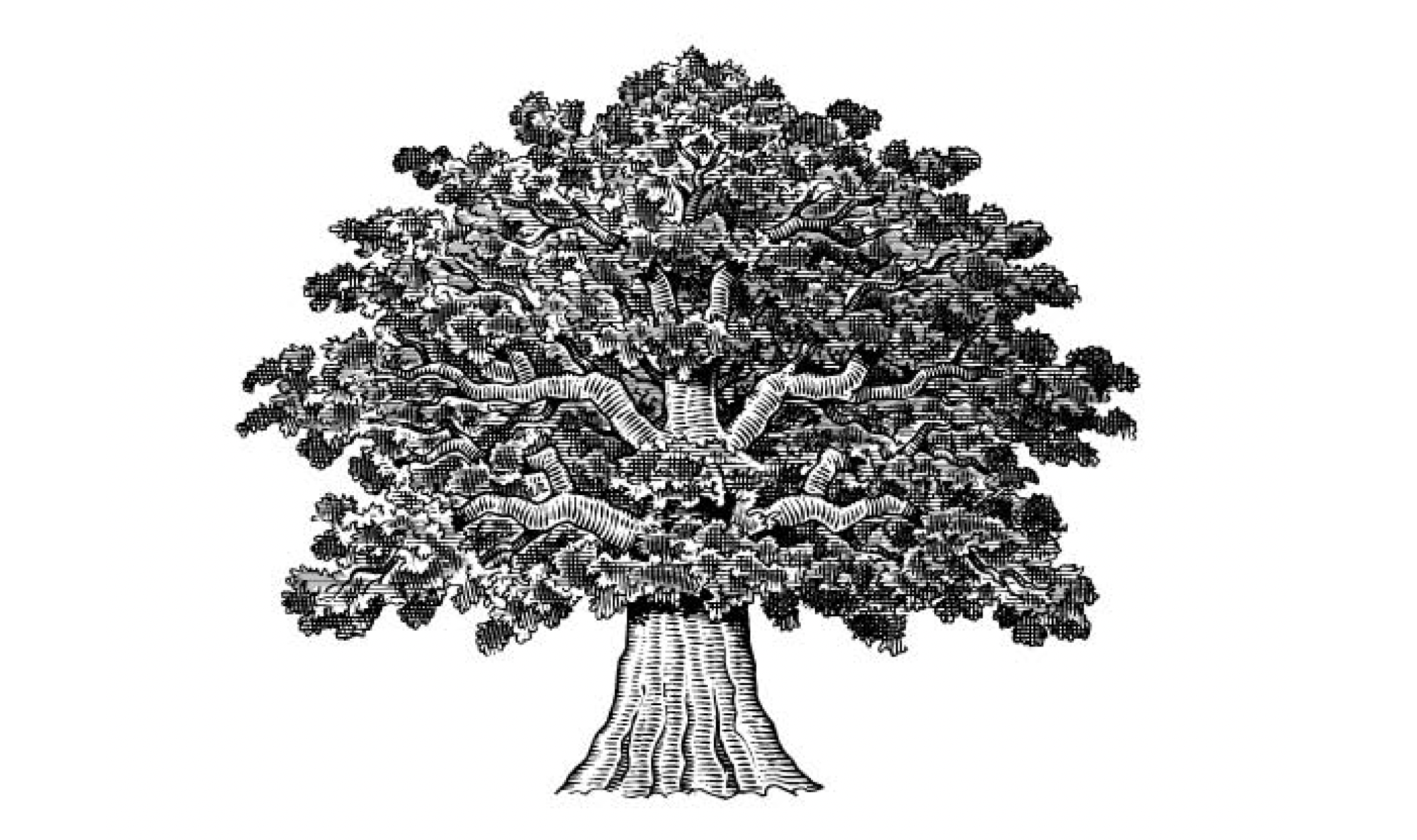 People Planet Profit Made Personal Domini