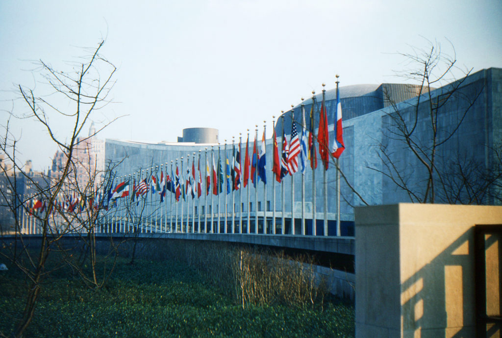 What Happened at COP26 - Domini