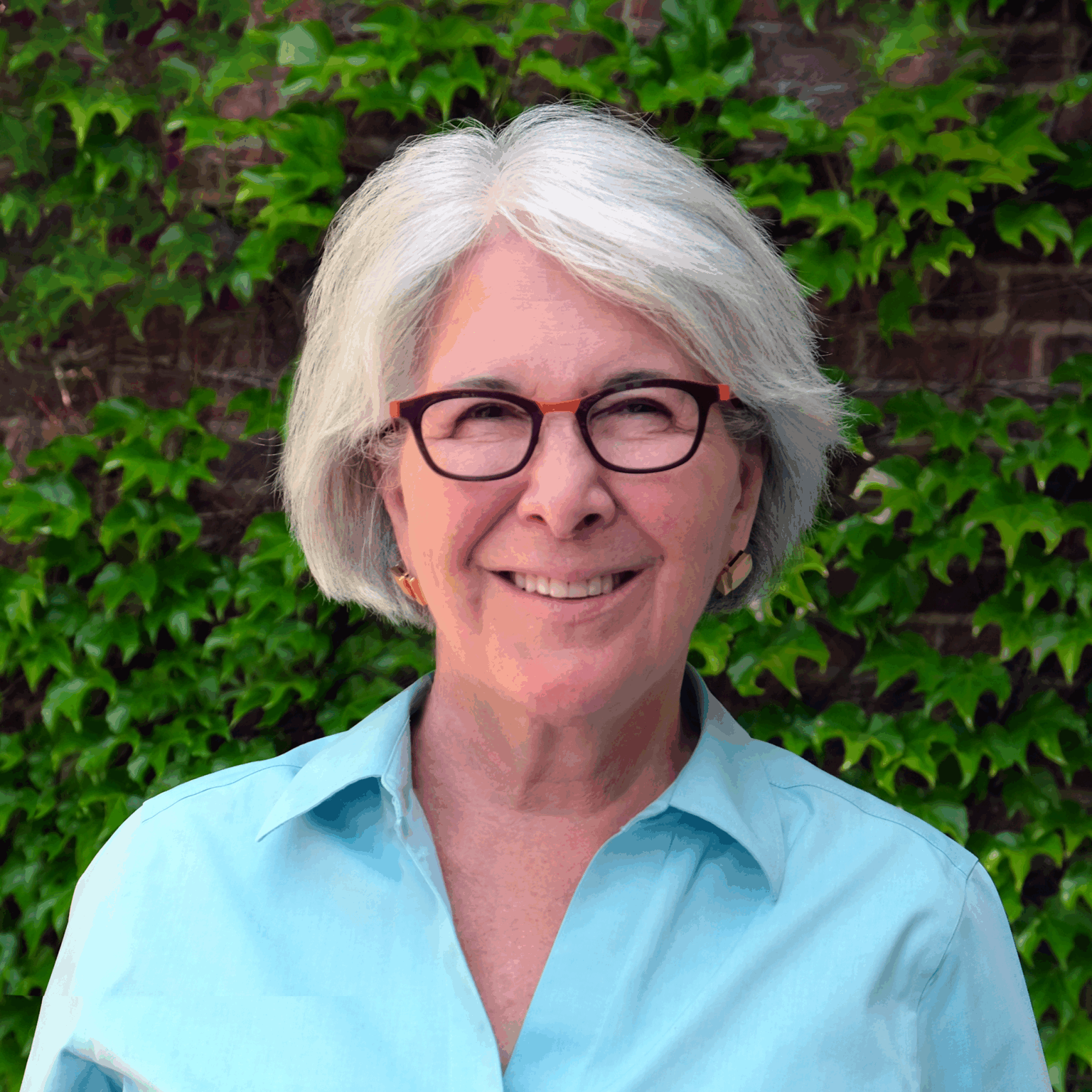 Domini Impact Equity Fund - Investor Shares - Domini