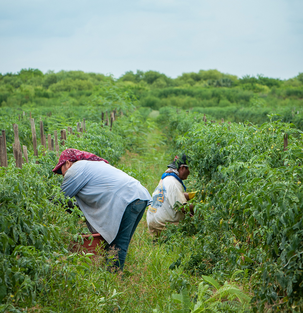 Centering Workers is a Powerful Model for Responsible Investors - Domini