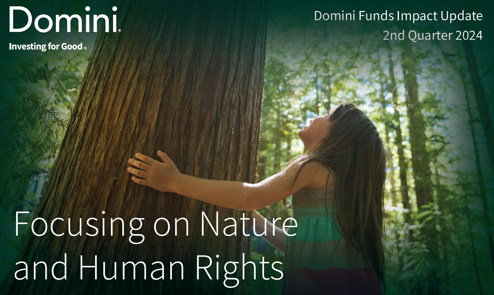 Q2 2024 Impact Update Now Available - Domini