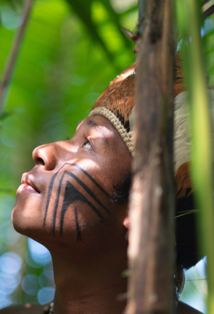 The Role of Human Rights Defenders in Protecting Nature and How to Help ...