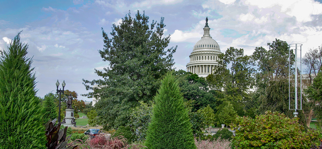 Tour the U.S. Botanic Garden - Domini